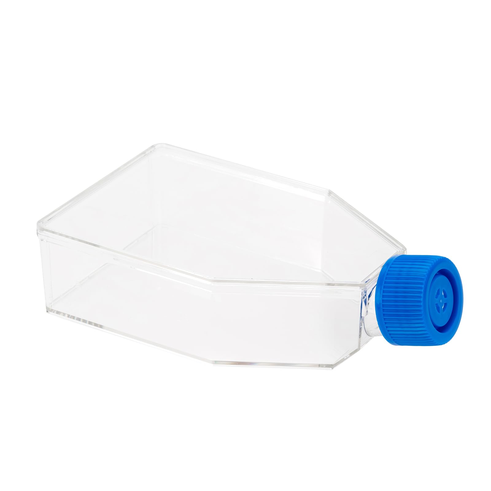Buy Cell Culture Flasks, Sterile Plastic Tissue Culture Bottle with ...