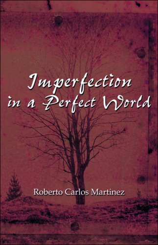 Buy Imperfection in a Perfect World Book Online at Low Prices in India ...