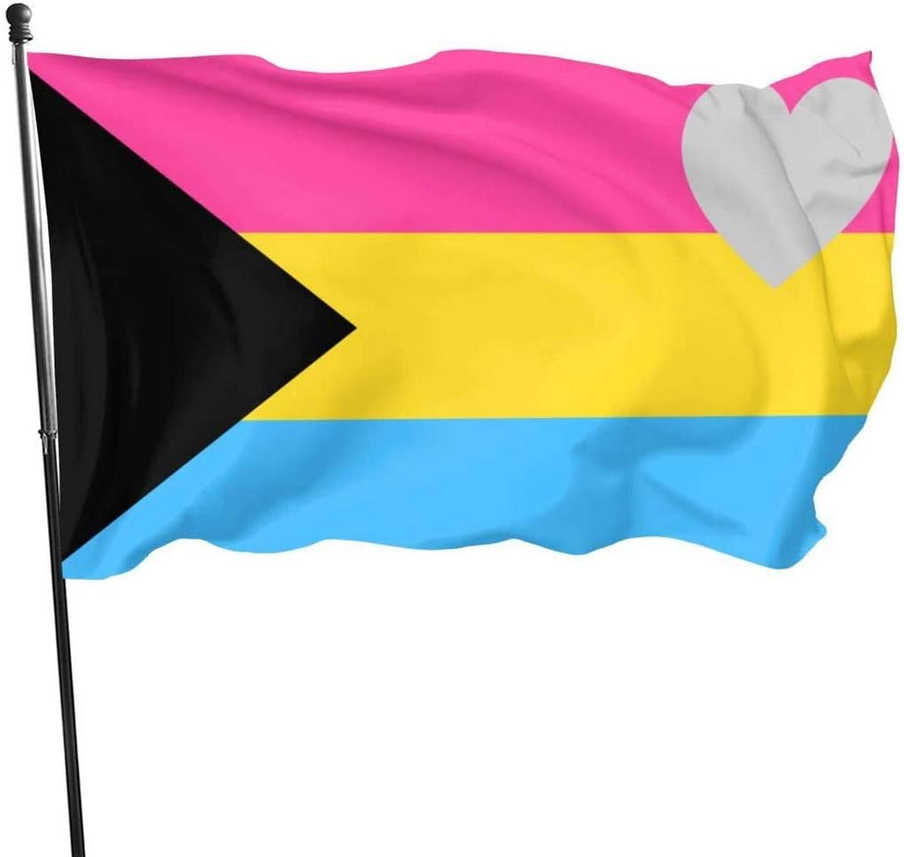 Amazon.com : BUZAI Demipanromantic Demiromantic Pan Pansexual Pride ...