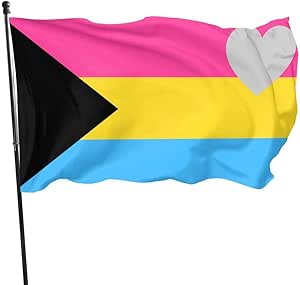 Amazon.com : BUZAI Demipanromantic Demiromantic Pan Pansexual Pride ...