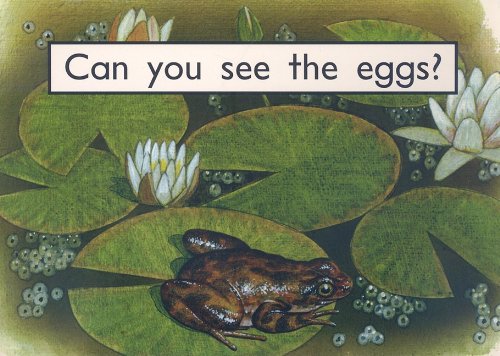 Can You See the Eggs? (Rigby PM Collection: PM Starters Two): Jenny ...