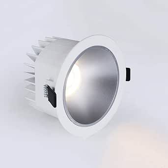 PEHUB 12W Silver COB LED Recessed Spotlight Waterproof and Anti-Fog LED ...