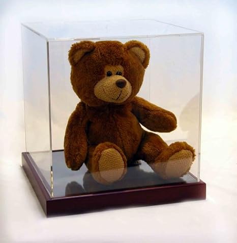 TEDDY BEAR DISPLAY CASE : Amazon.co.uk: Outlet
