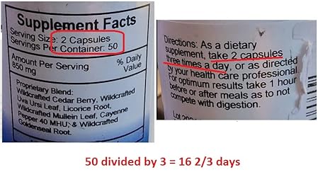 Amazon.com: Dr, Christopher's Pancreas Formula - Pancreas Cleanse Detox ...