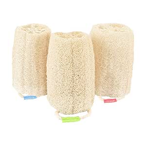 Amazon.com: Natural Loofah Sponge - Exfoliating Body Scrubber for ...