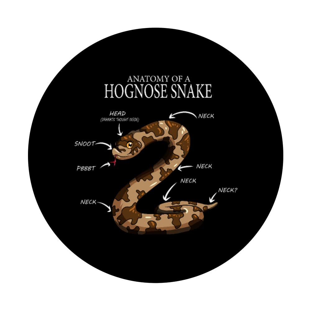 Photo Snake Body Parts Labeled