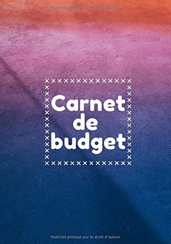 Carnet De Budget Livre De Compte Suivi Mensuel 100 Pages | Desertcart ...