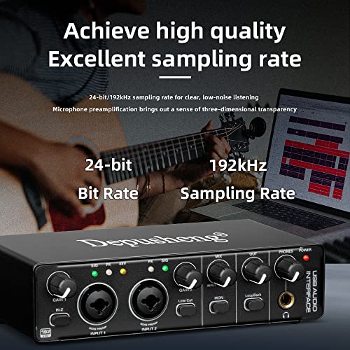 Snapklik.com : Depusheng RX2 USB Computer Recording Kit