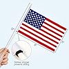 Amazon.com : Anley US National United States Mini Flag 12 Pack - Hand ...