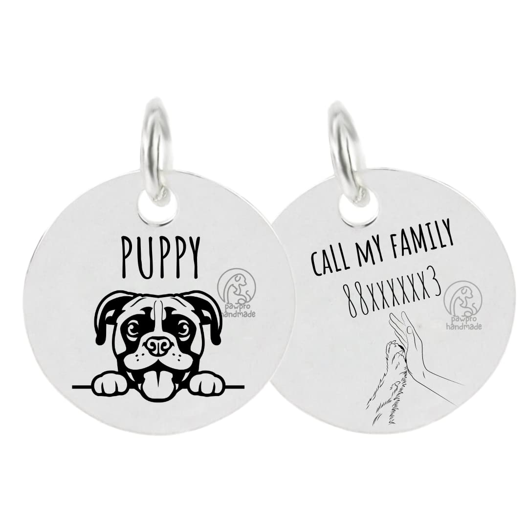 Pawpro Personalized Engraved Dog Name Tag with Photo Customized Pet Id ...