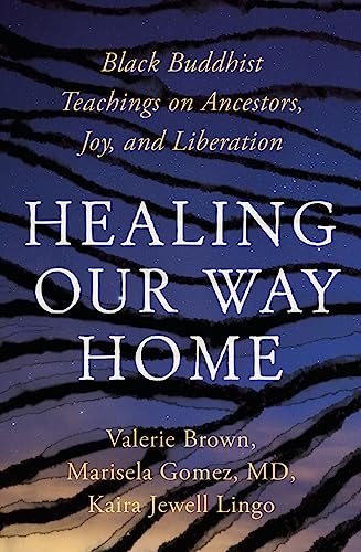 Amazon.com: Healing Our Way Home: Black Buddhist Teachings on Ancestors ...