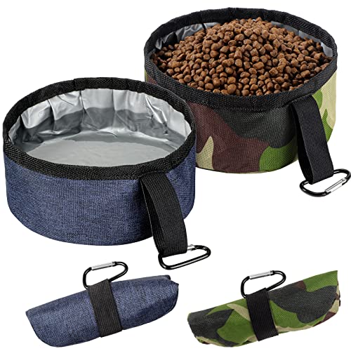 Stylish Options for Your Dog's Dining Set