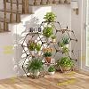Amazon.com : Allinside Hexagonal Plant Stand - Indoor/Outdoor 9-Tier ...
