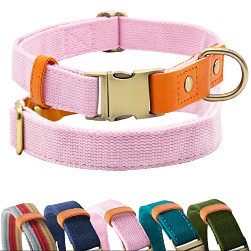 10 Best Material Dog Collars: A Comprehensive Buying Guide! - Furry Folly
