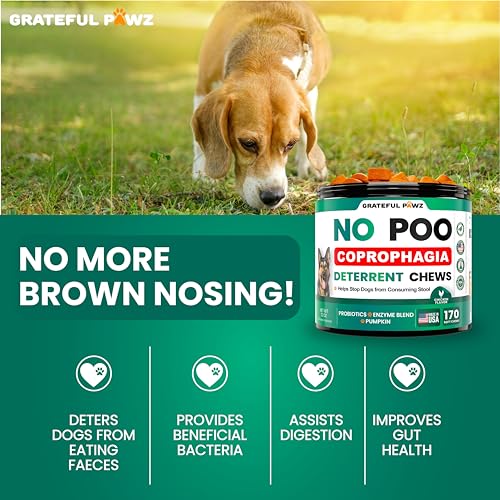 No Poo Chews For Dogs – 170...
