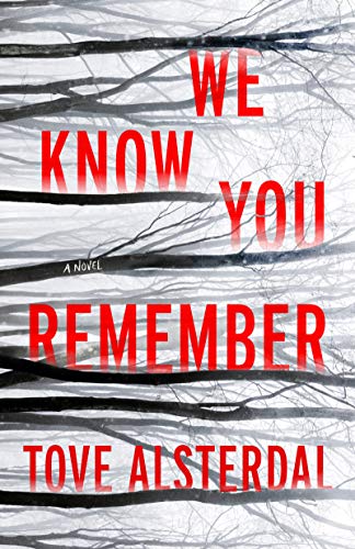 Amazon.com: We Know You Remember: A Novel (The High Coast Series, 1 ...