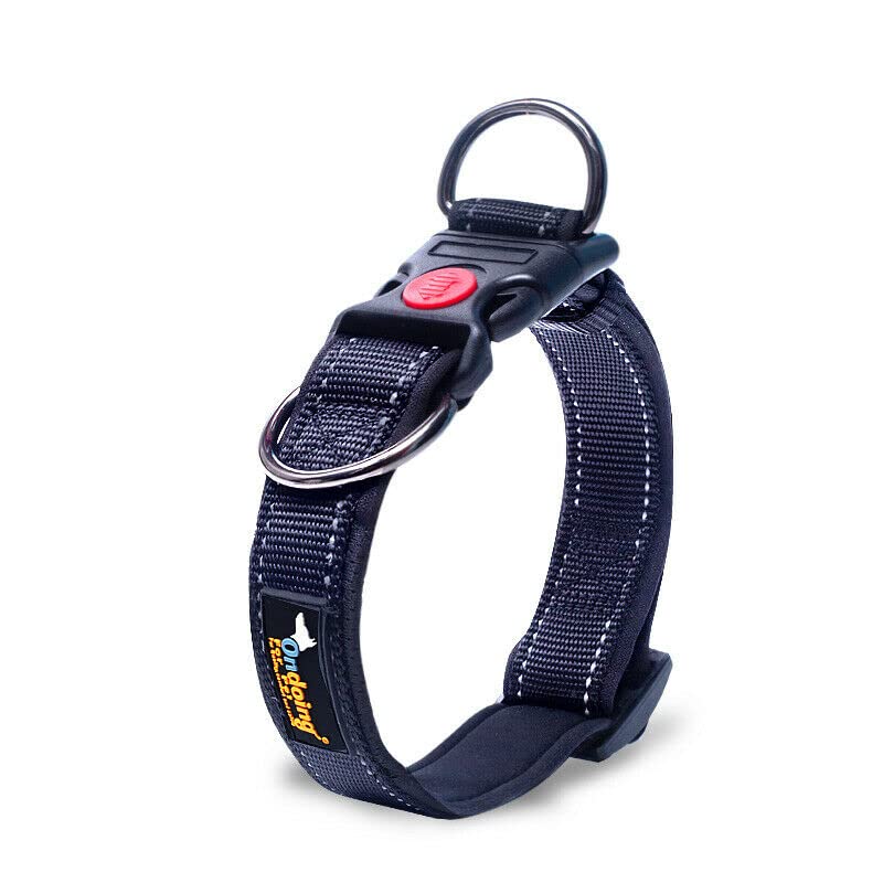 Amazon.com.au Best Sellers: The most popular items in Collars ...