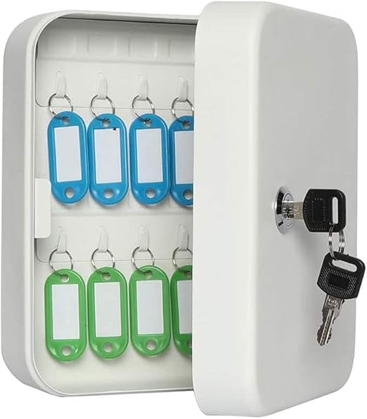 VATTU Metal Key Storage Lock Box With 20 Kay Tag For Home/Office Etc ...