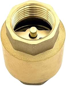 Amazon.com: Heavy Duty 1 Inch Brass Check Spring Check Valves Ensures ...