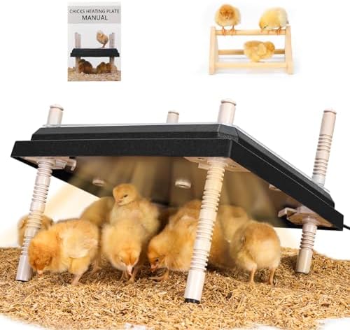 Amazon.com : Hantop Chick Brooder Heating Plate with Comfort Feathers ...
