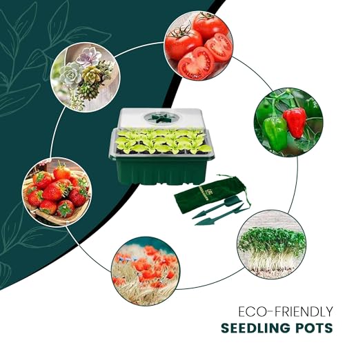 GREEN HAVEN 6 Pack Seed Trays with Lids and Tool Bag 72 Cells ...