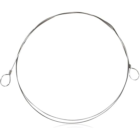 Amazon.com: Spare Cheese Wires - Set Of 12: Peelers: Home & Kitchen