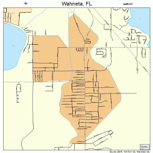 Amazon.com: Large Street & Road Map of Wahneta, Florida FL - Printed ...
