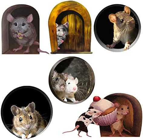 Veronica and the Baby Boo's Amazon Page