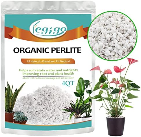 Amazon.com : Organic Perlite for All Plants, All Natural Horticultural ...
