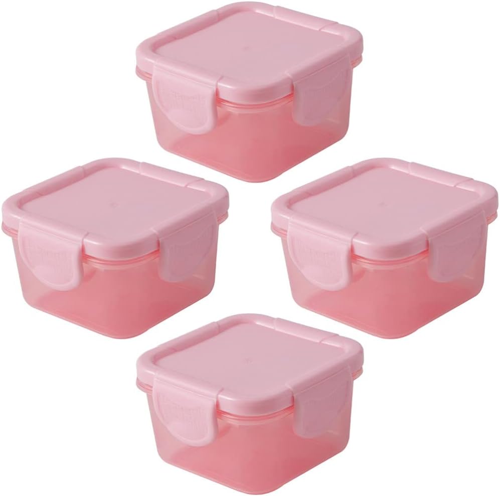 Amazon.com: Kichvoe 4pcs Boxes Packing Crisper Mini Meal Prep Sealed ...