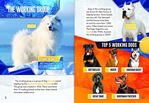 Working Dogs Group