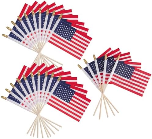 Amazon.com : 25 Pack Hand Held Small Mini Flag USA US Flag American ...
