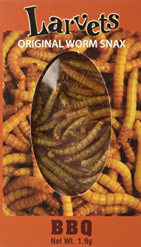 Insect Snacks and Candies