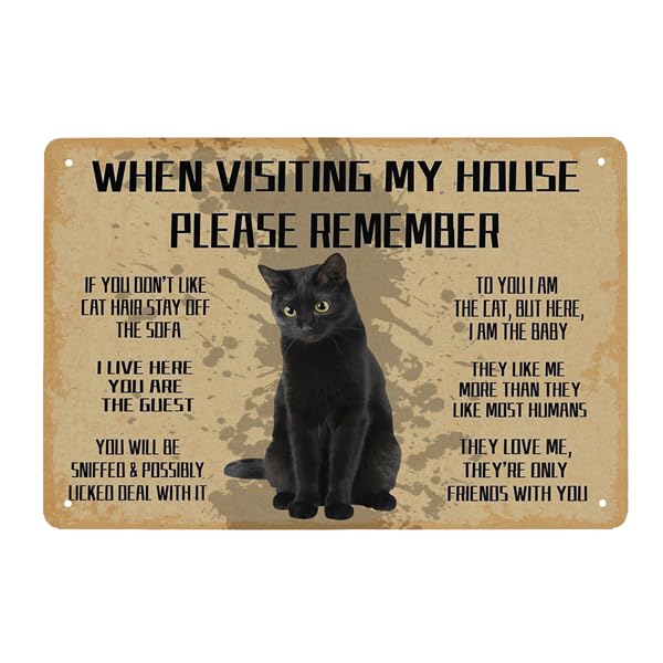 Amazon.com: Funny Cat Rules Metal Sign 8"x12" - When Visiting My House ...