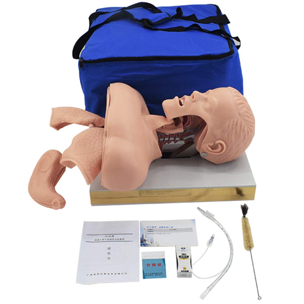 Buy MZBZYU Intubation Manikin Airway Management Trainer Demo with ...