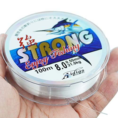 100 Meters Clear Nylon Fishing Line - 0.5 mm Monofilament Wire for Sea ...