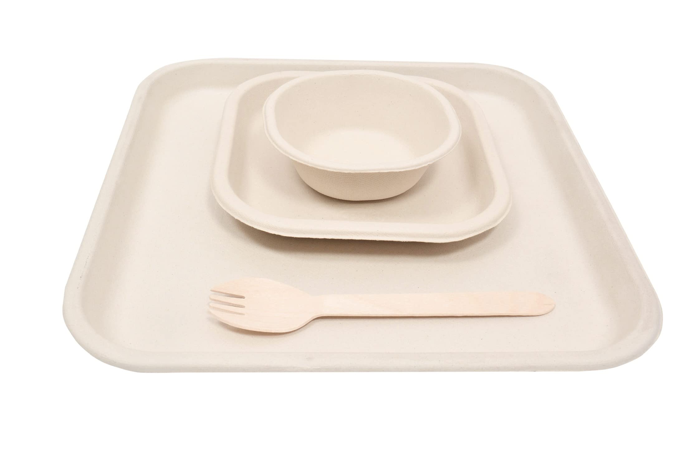 Buy Redox Disposable Plates - Sugarcane Bagasse - Square Plates 11 Inch ...
