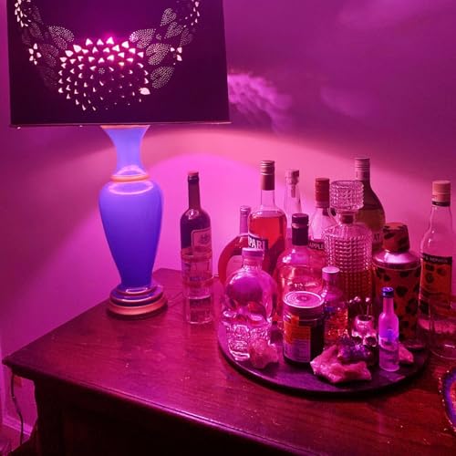 Creamy by Miss D. Cline on Prime Music