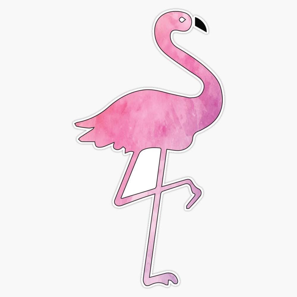 Amazon.com - EW Designs Pretty Paint Splatter Flamingo Art Vinyl Decal ...