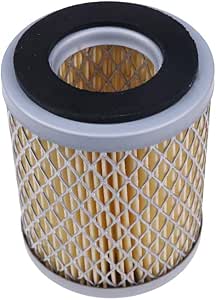 Amazon.com: DVPARTS Fuel Filter MM10993 1850450M2 1850450M1 EPN99162A ...