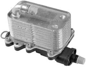 Amazon.com: OIL COOLER ASSEMBLY 17217803830 AUTO-GETHER : Automotive