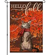 Amazon.com : BLKWHT Hello Fall Cat Garden Flag 12x18 Vertical Double ...