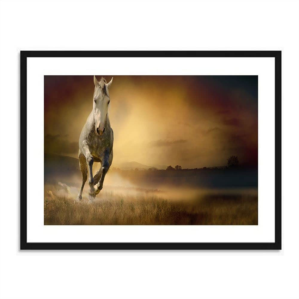 Horse Front View Running