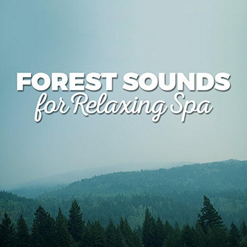 Play Forest Sounds for Relaxing Spa by Forest Sounds Relaxing Spa Music ...
