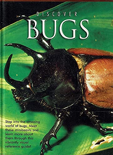 Discover Bugs: Q2A Creative: 9780755471560: Amazon.com: Books