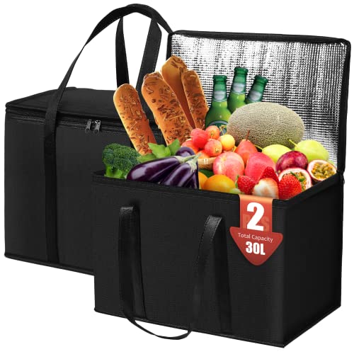 Top 10 Best Insulated Food Delivery Bags : Reviews & Buying Guide - Katynel