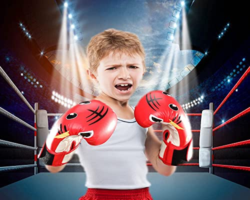 Haosphoto Boxing Ring Backdrop for Photography 7X5FT Boxing Match Stage ...