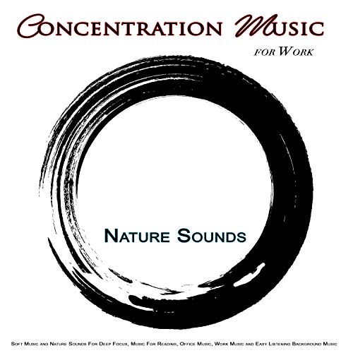 Play Concentration Music for Work: Soft Music and Nature Sounds For ...