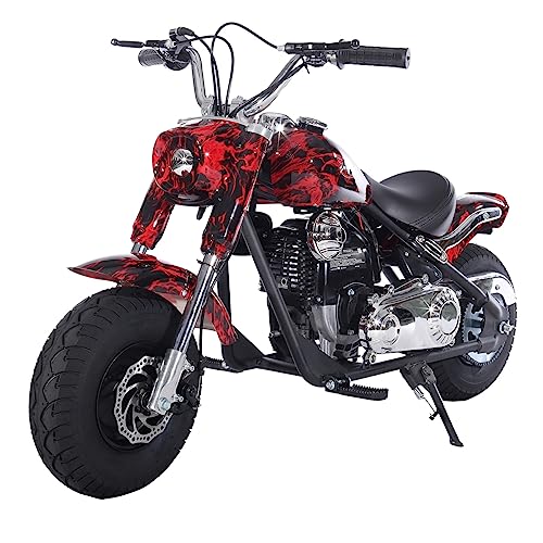 Find The Best Mini Bikes For Adults Reviews & Comparison - Katynel