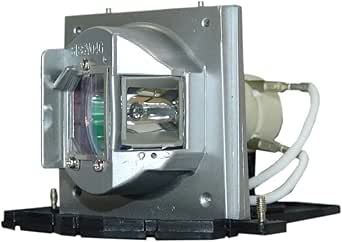 Amazon.com: Dekain Projector Lamp Replacement for Optoma BL-FP200E ...